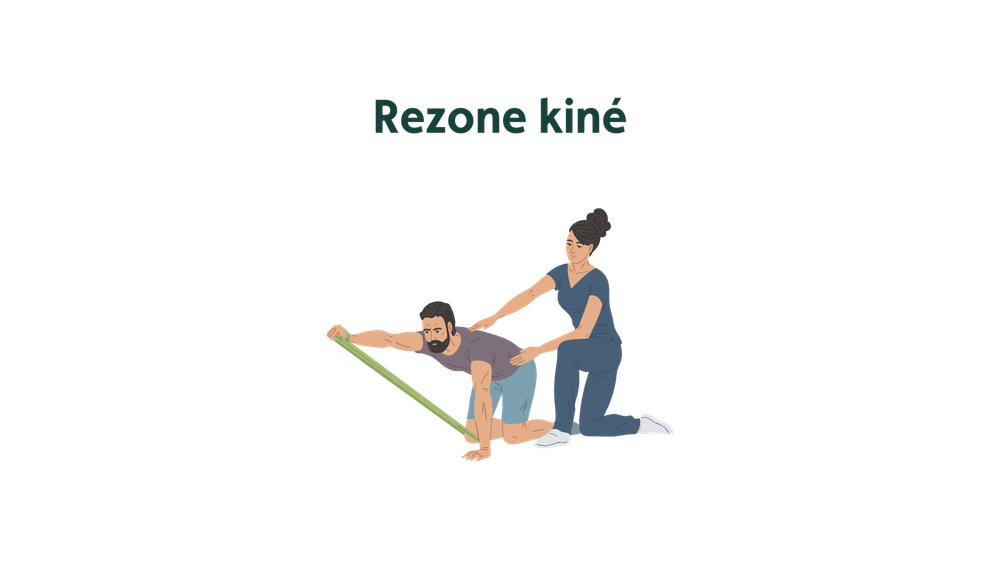 Rezone Kiné : la démographie des kinésithérapeutes en temps réel